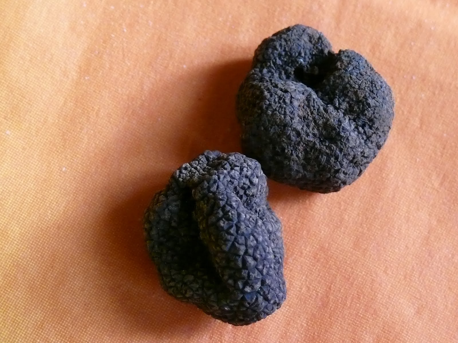 Truffe et compagnie: TRUFFE : "ON EST BIEN PEU DE CHOSES, C'EST MON ...