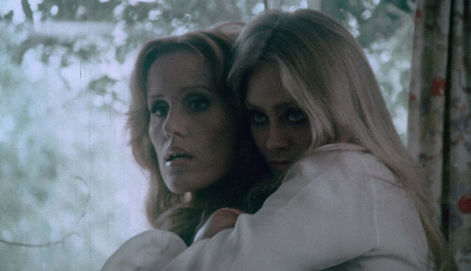 RED WEED | Unusual British Film, TV and Beyond: Haven of Hayden | A ...