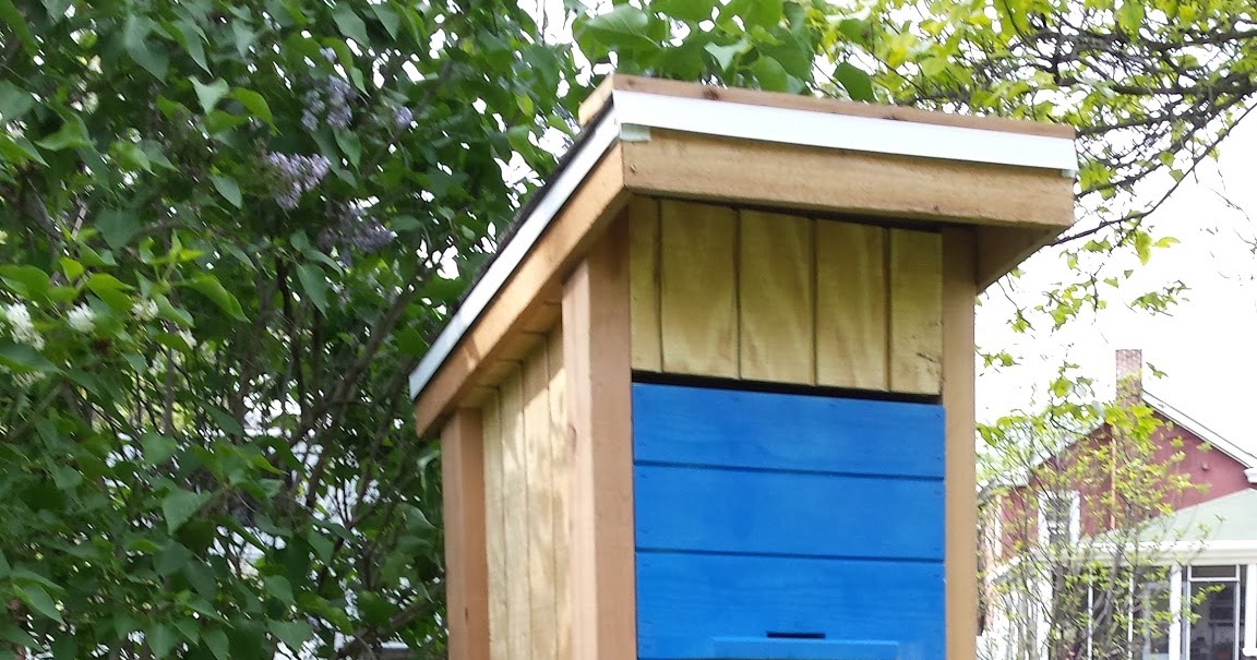 Pete's Bees, A Feral Hive Recovery: Slovinian AZ hives