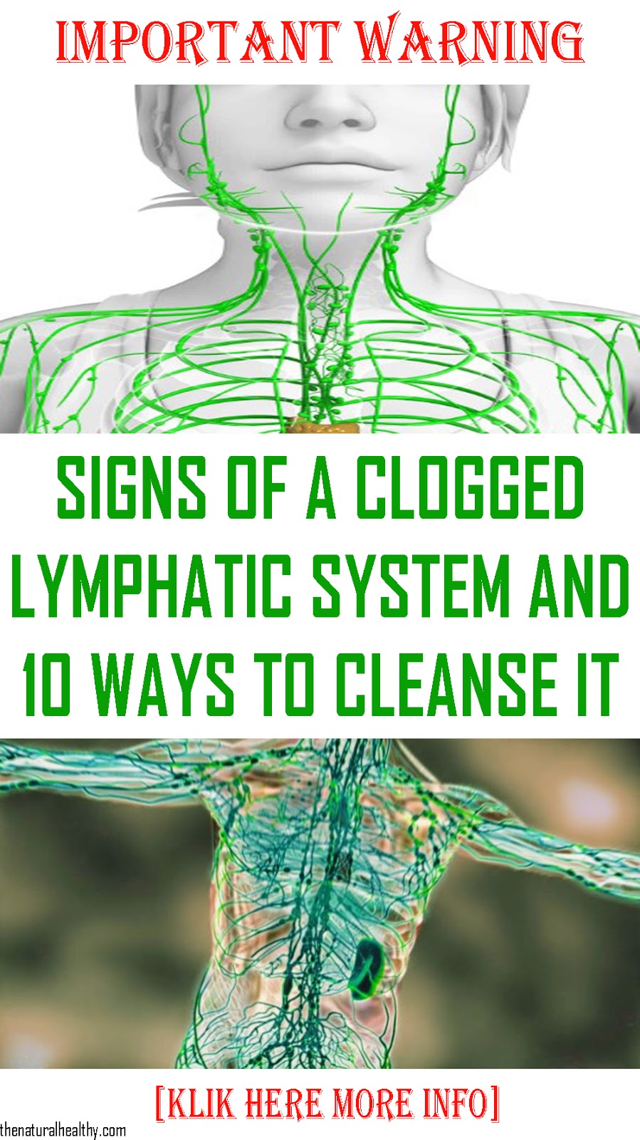 SIGNS OF A CLOGGED LYMPHATIC SYSTEM AND 10 WAYS TO CLEANSE IT - The ...