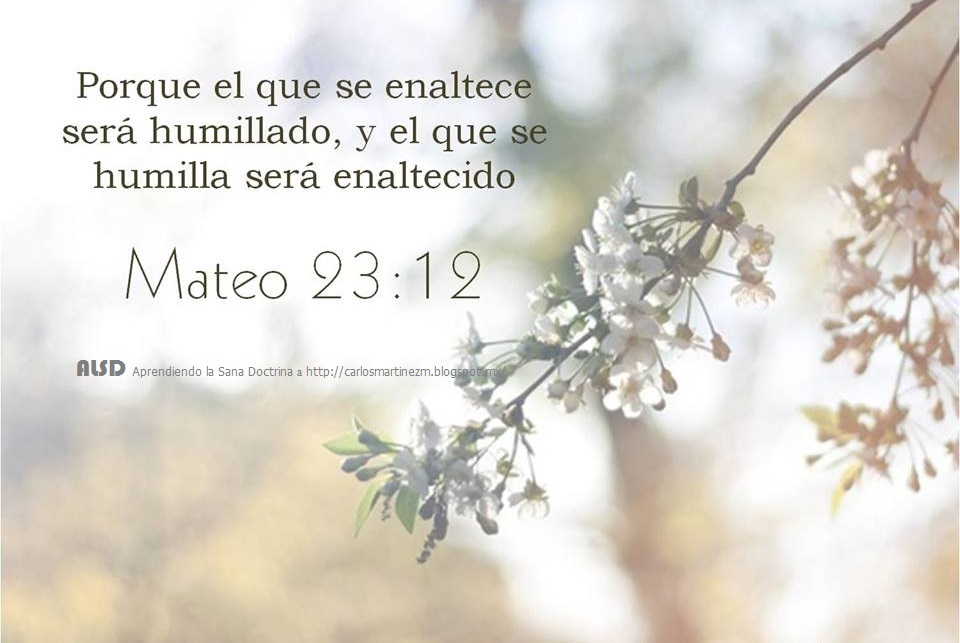 Aprendiendo la Sana Doctrina: Mateo 23:12