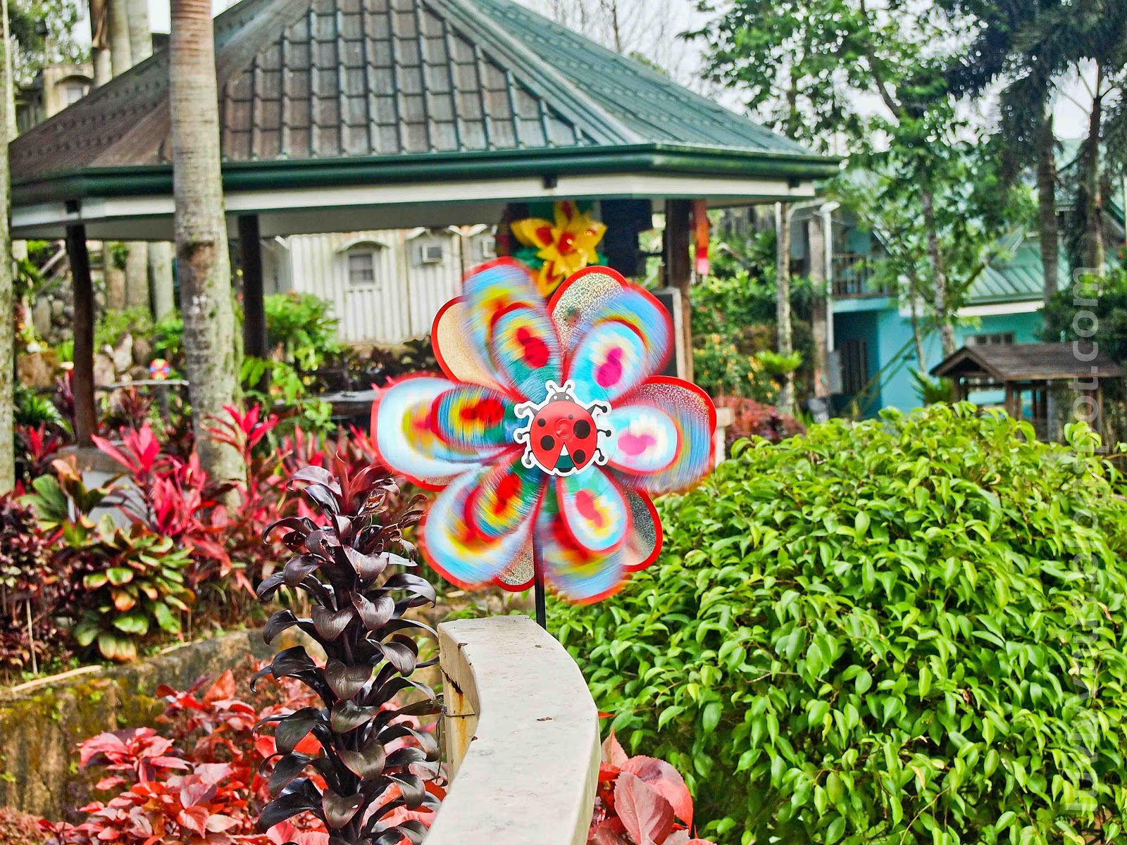 Tagaytay Haven Hotel I (Ulat) | My Wanderland