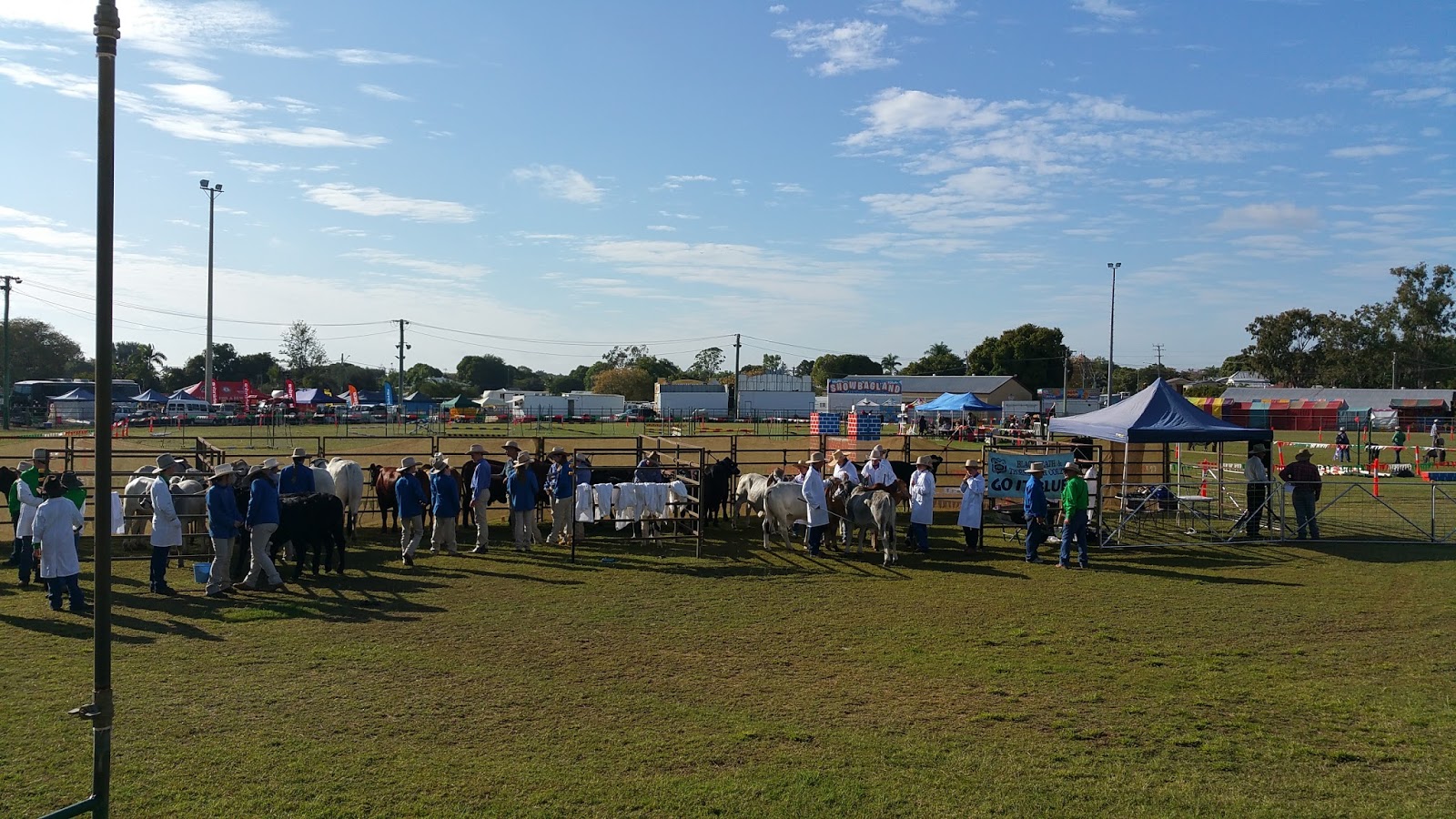BTC Blog: Cattle Club at the Charters Towers Show
