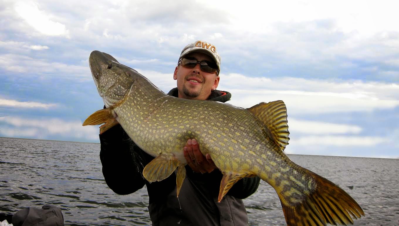 Boggs Custom Lures: Monster Pike