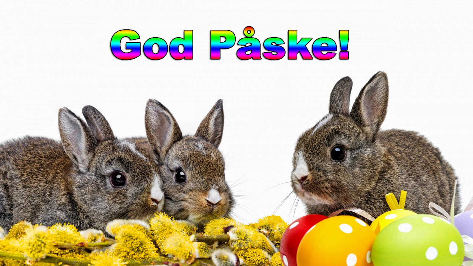 images: God Påske Billeder