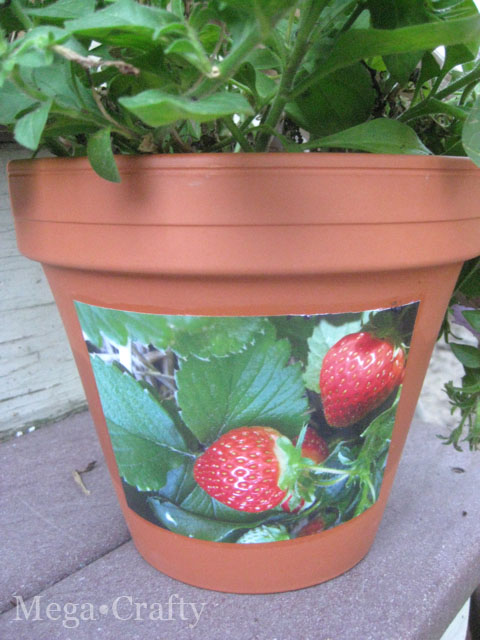 Mega•Crafty: Photo Flower Pots