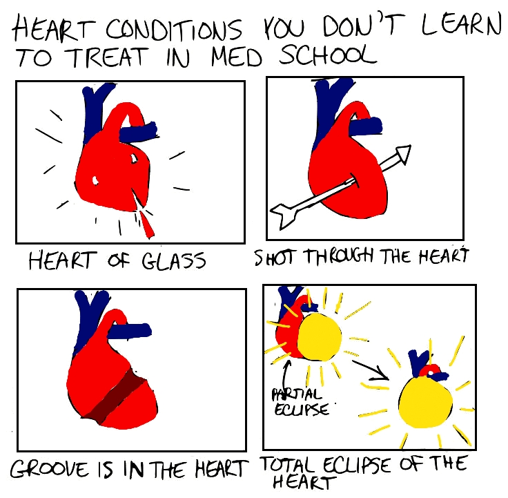 The Apical View: Cardiac Cartoons