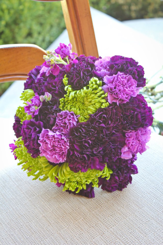 Scott Leathams's Photography