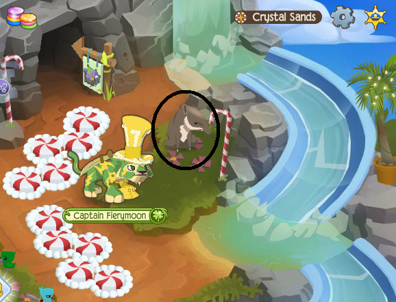 Animal Jam Community Blog: Crystal Sands Journey Book Cheats