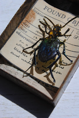 Paperwishesbyamanda: Insect in a Matchbox