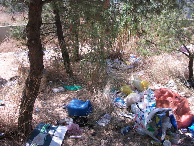 ποσο μαλάκες είμαστε τελικά?: γυφτοι και οι ρομ, γυφτοι και οι ...