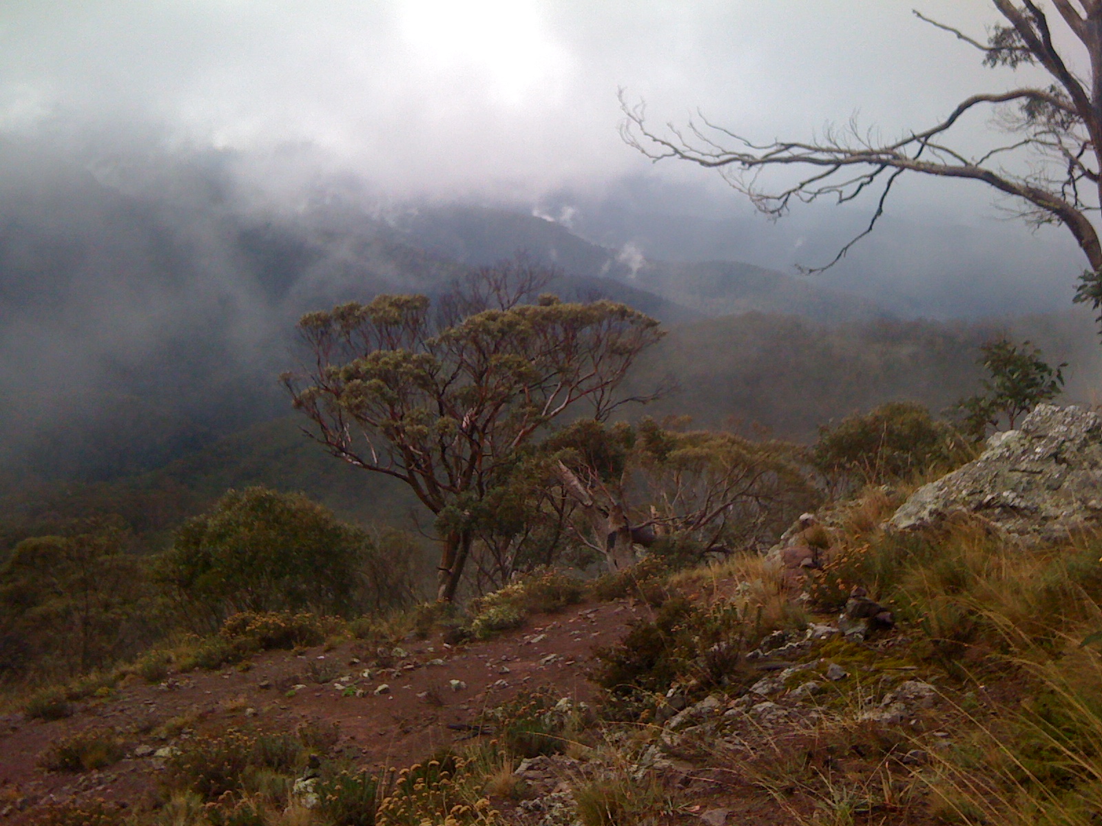 Trails and Tracks: Trip Report: Mt Clear Traverse