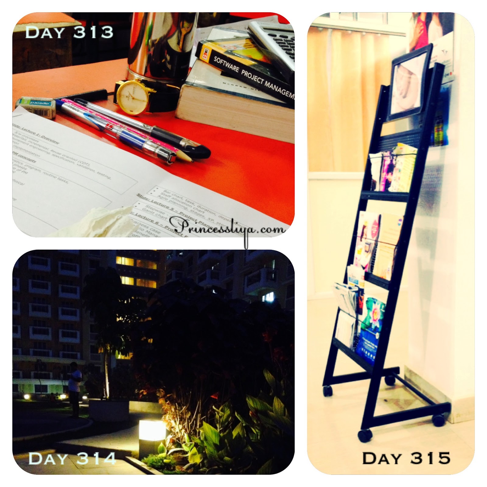 life-with-liya-and-zain-project-365-week-45