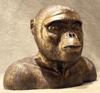 ARDIPITHECUS RAMIDUS:¿PRIMEROS INDICIOS DE VIDA SOCIAL?