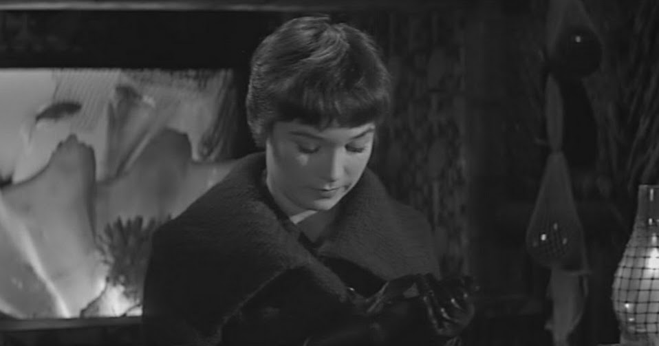 my new plaid pants: Everything You Ever Need To Know About Life...