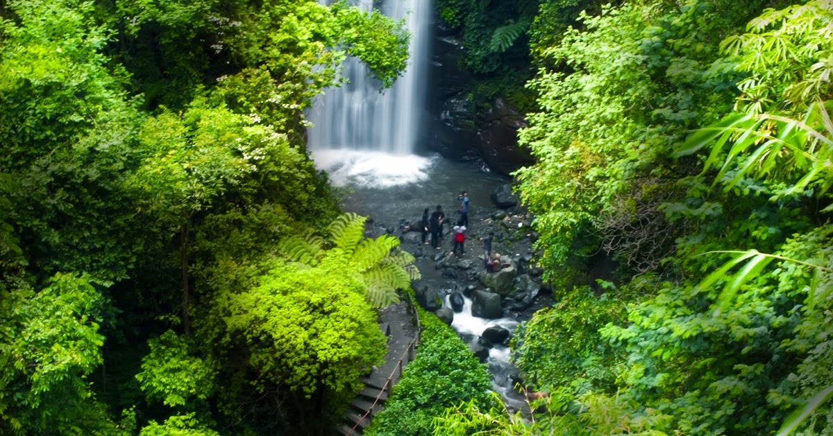 Curug Muara Jaya (curug apuy)