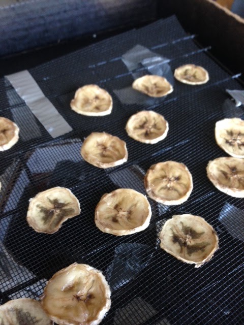 Nick Ho's APES Blog: Solar Showdown Blog Post #2 (Revised, written ...