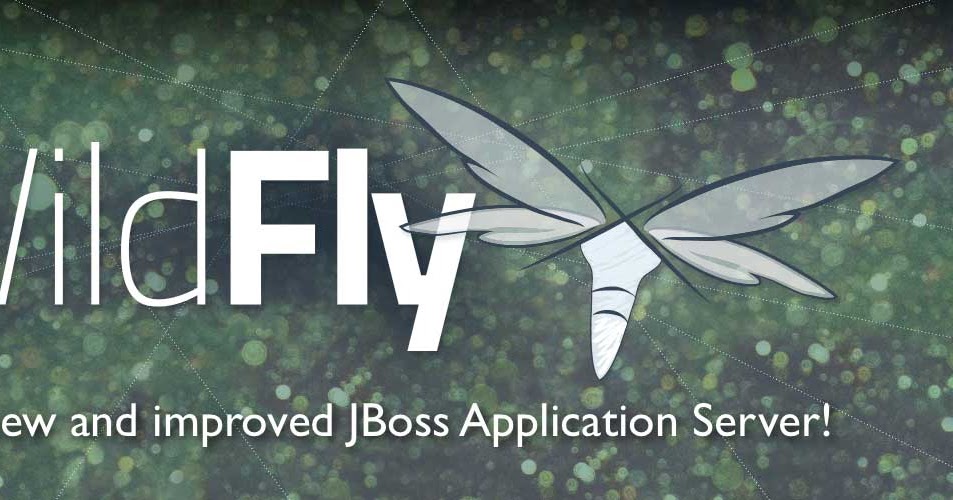 Starting With JBoss Application Server / WildFly ~ l3oc