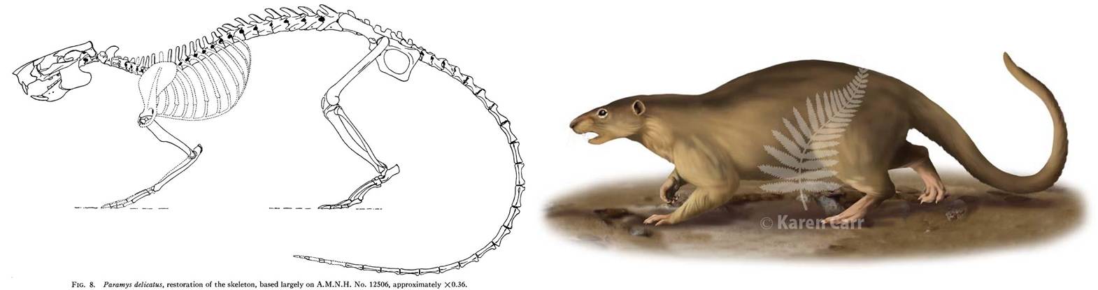 Palaeos, la historia de la Vida en la Tierra: Notas cortas: el origen ...