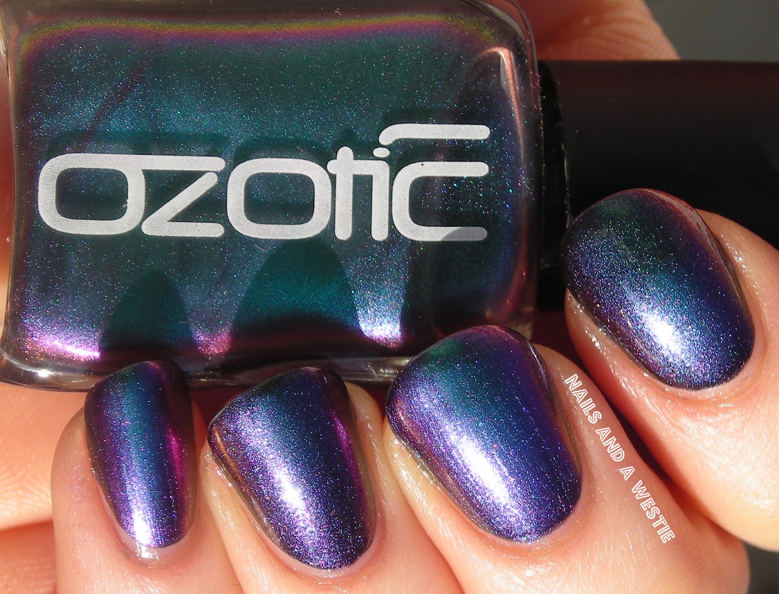Nails and a Westie: Ozotic 505 & HITS Cutie Pie (pic heavy!)