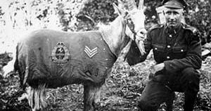 Coffee with the Hermit: Remembering Sergeant Bill...!