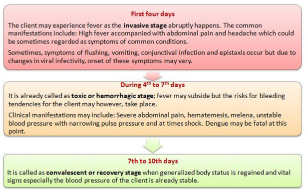 Dear, Auntie: Bone Break Fever: Dengue Fever: Signs and Symptoms