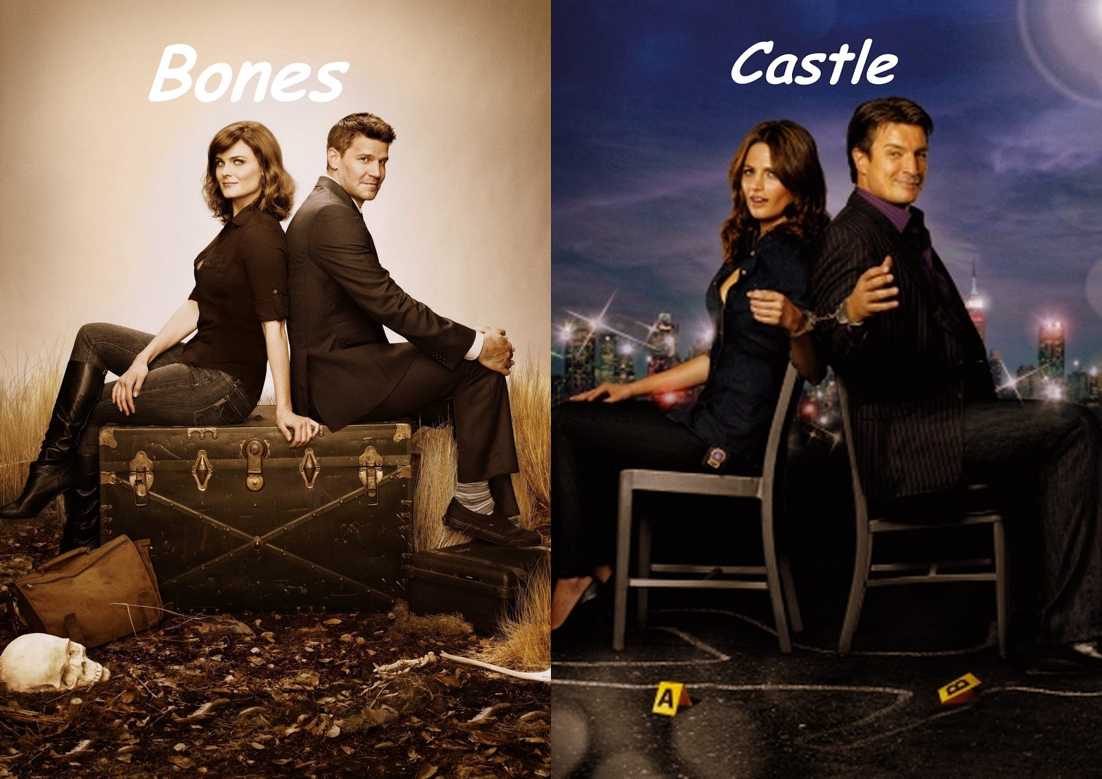 Bones Poster Gallery | Tv Series Posters and Cast