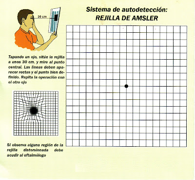 Educación Física en la Red: La degeneración macular en las personas ...