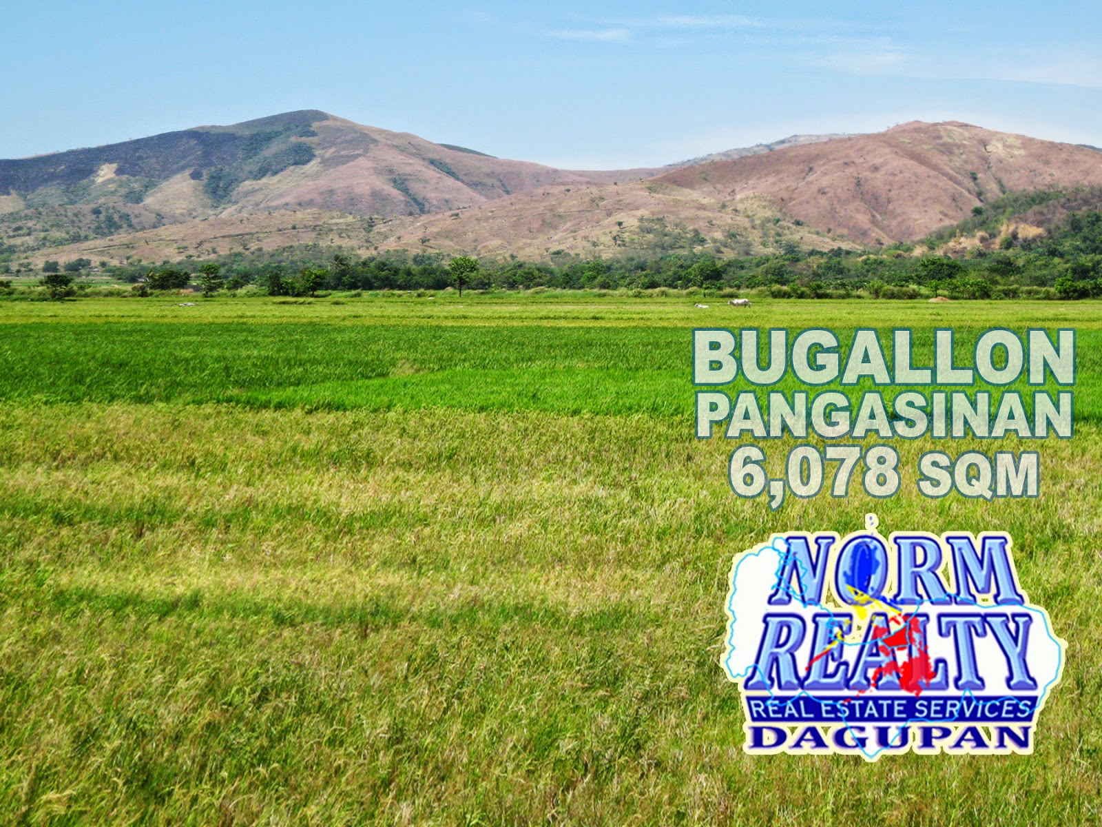 NormRealty Dagupan