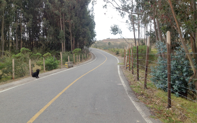 Altimetrías de Colombia: Alto de Chivatá, recordando a Las Hinojosas