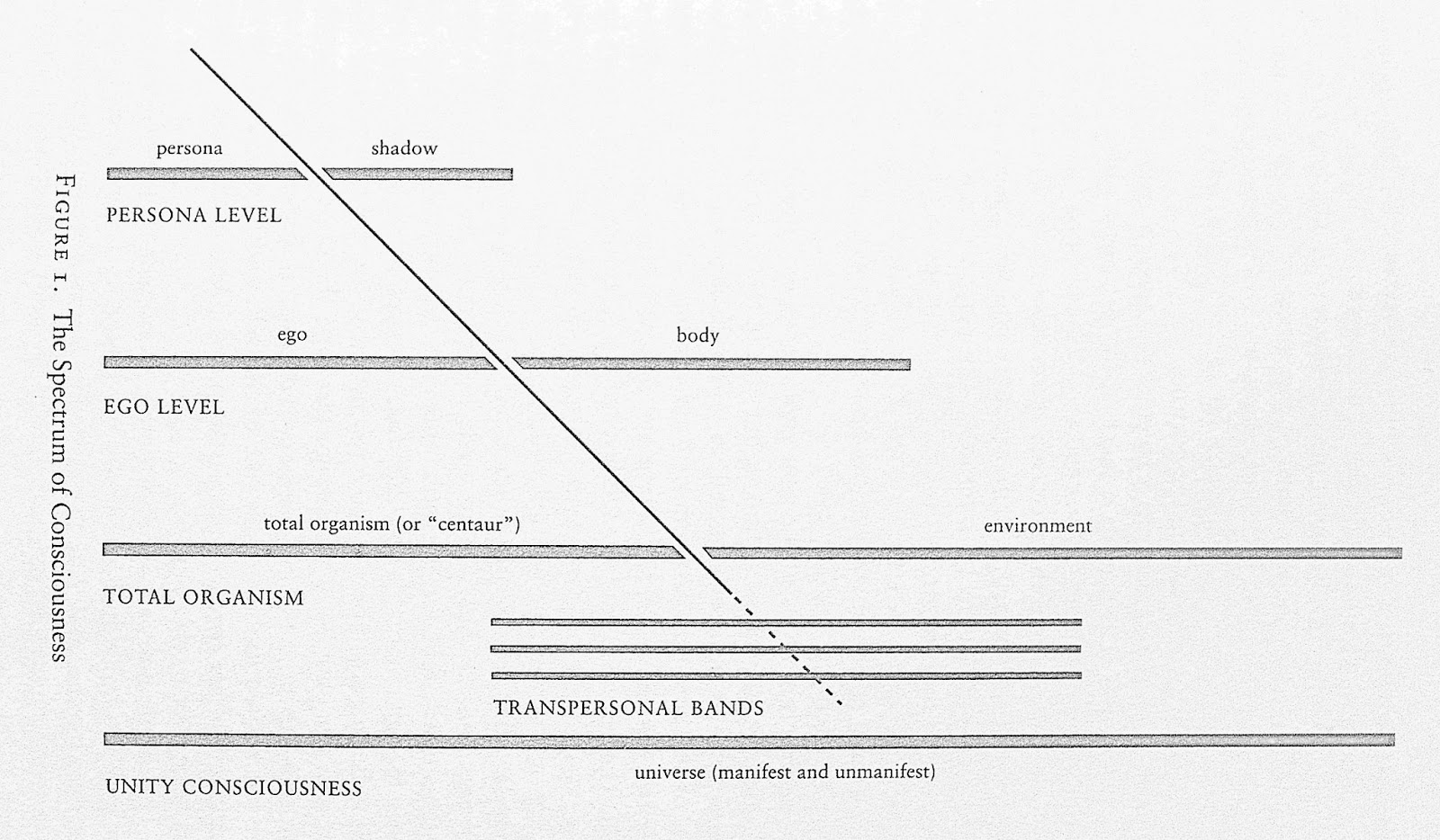 existential soft rock: Ken Wilber's spectrum of consciousness