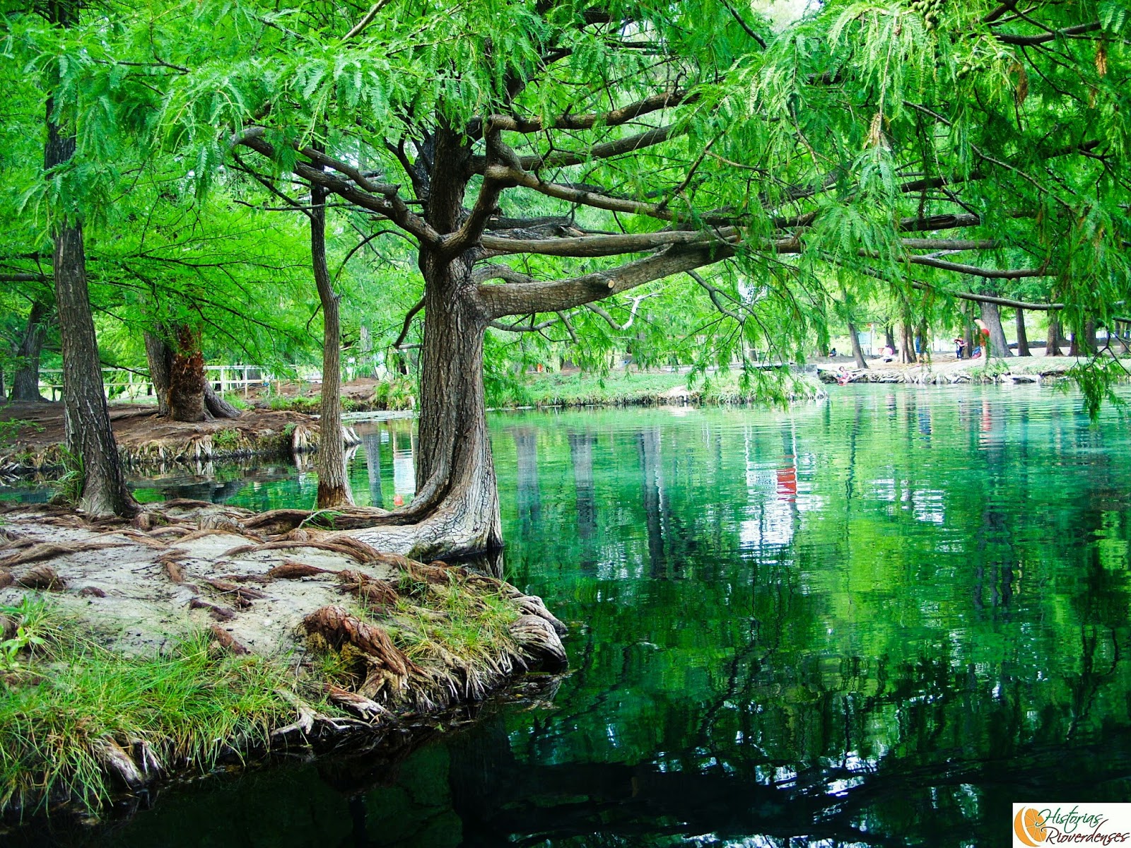 Historias Rioverdenses: Manantial de la Media Luna. Principal atractivo ...