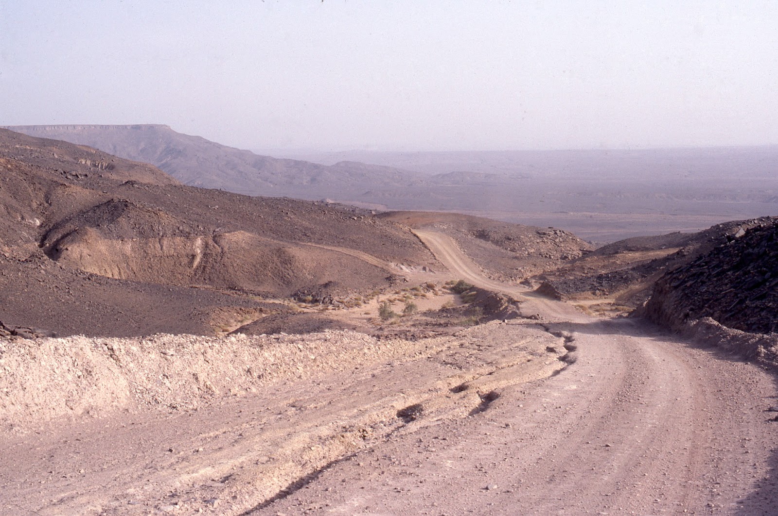 Reflections: In Amenas