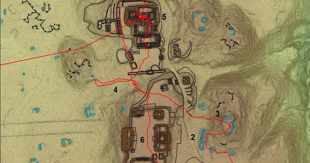 El Pilar Field Journal: A Quick Visit to El Pilar