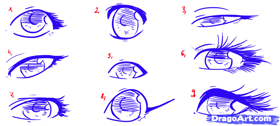 How to Draw Female Figures, Draw Female Bodies | Toons Mag Plus