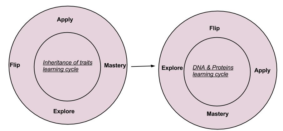 Wilson's Flipped Lab: Mastery Learning Cycles: a Mash Up of Mastery ...