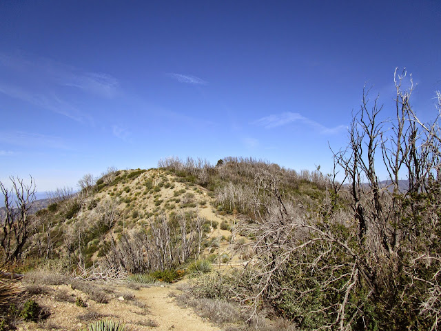 Iron Hiker: Mt. Deception, Mt. Disappointment, San Gabriel Peak