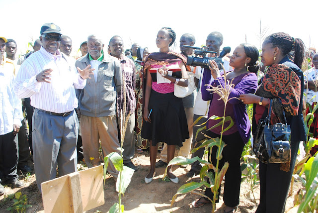 SIMLESA YAENDELEZA KILIMO CHA MSETO CHA MAHINDI NA MIKUNDE MOROGORO ...