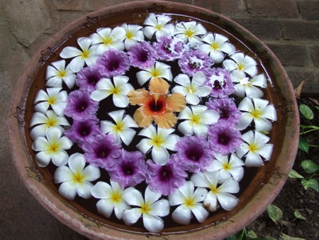 Carnatic music: Classification of Swaras