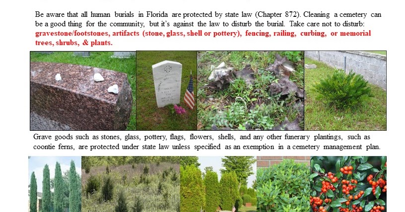 Guidelines for Cemetery Cleanups