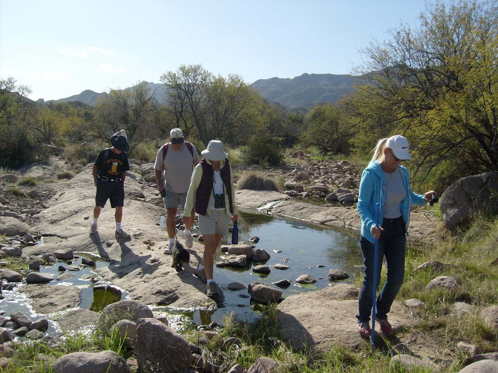 Backroad Gypsies: Hiking in the Canyons of Superstition Mountain ...
