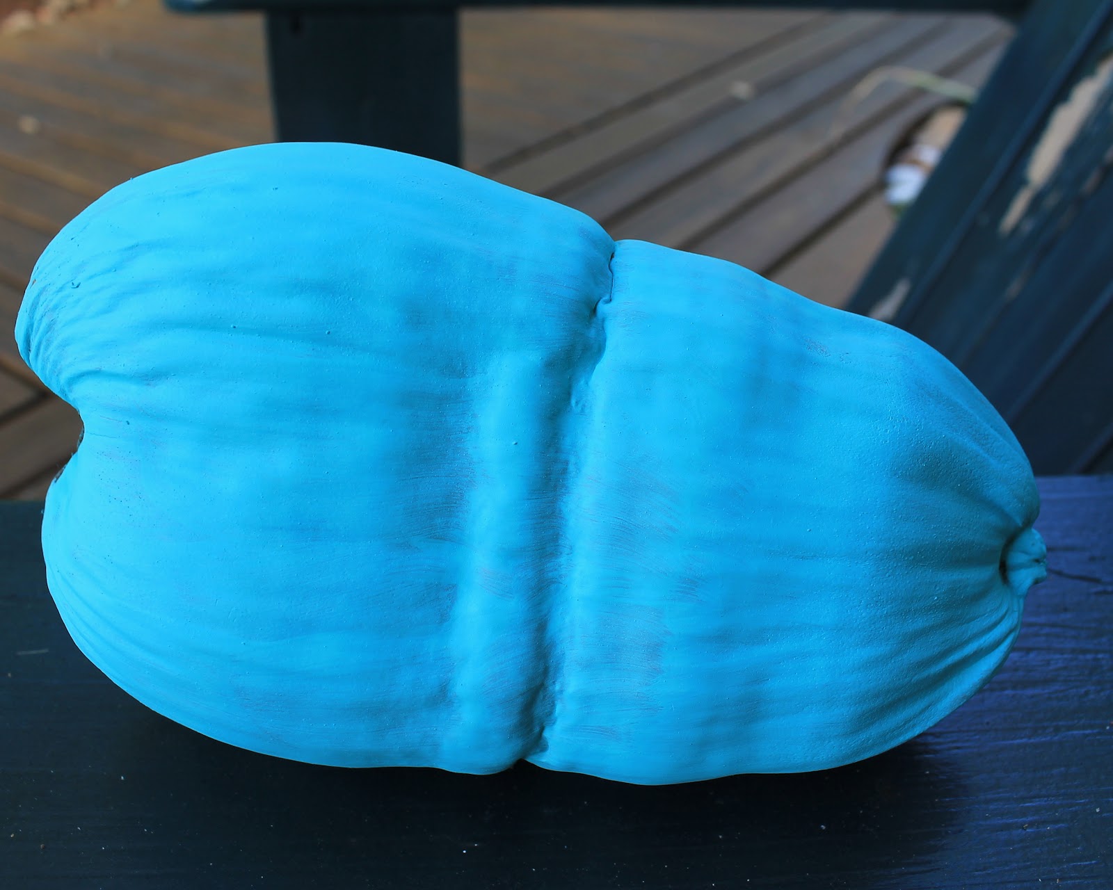 Connecting Pieces: Craft Day- Painted Coconuts