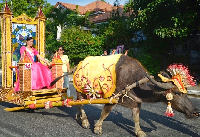 mybeautifulILOILO: CARABAO-CARROZA Festival: Keeping Pavia’s ...
