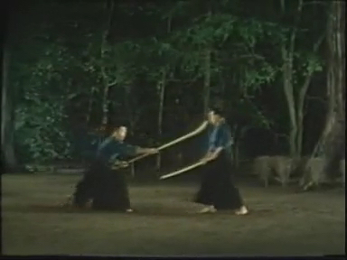 Why the Naginata (Glaive) is Different to the Yari (Spear)