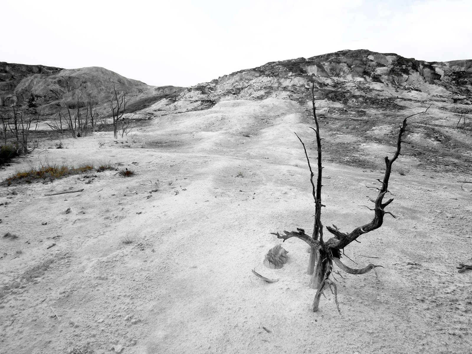 Focusing On Travel : Yellowstone: Mammoth Hot Springs are Really Cool ...