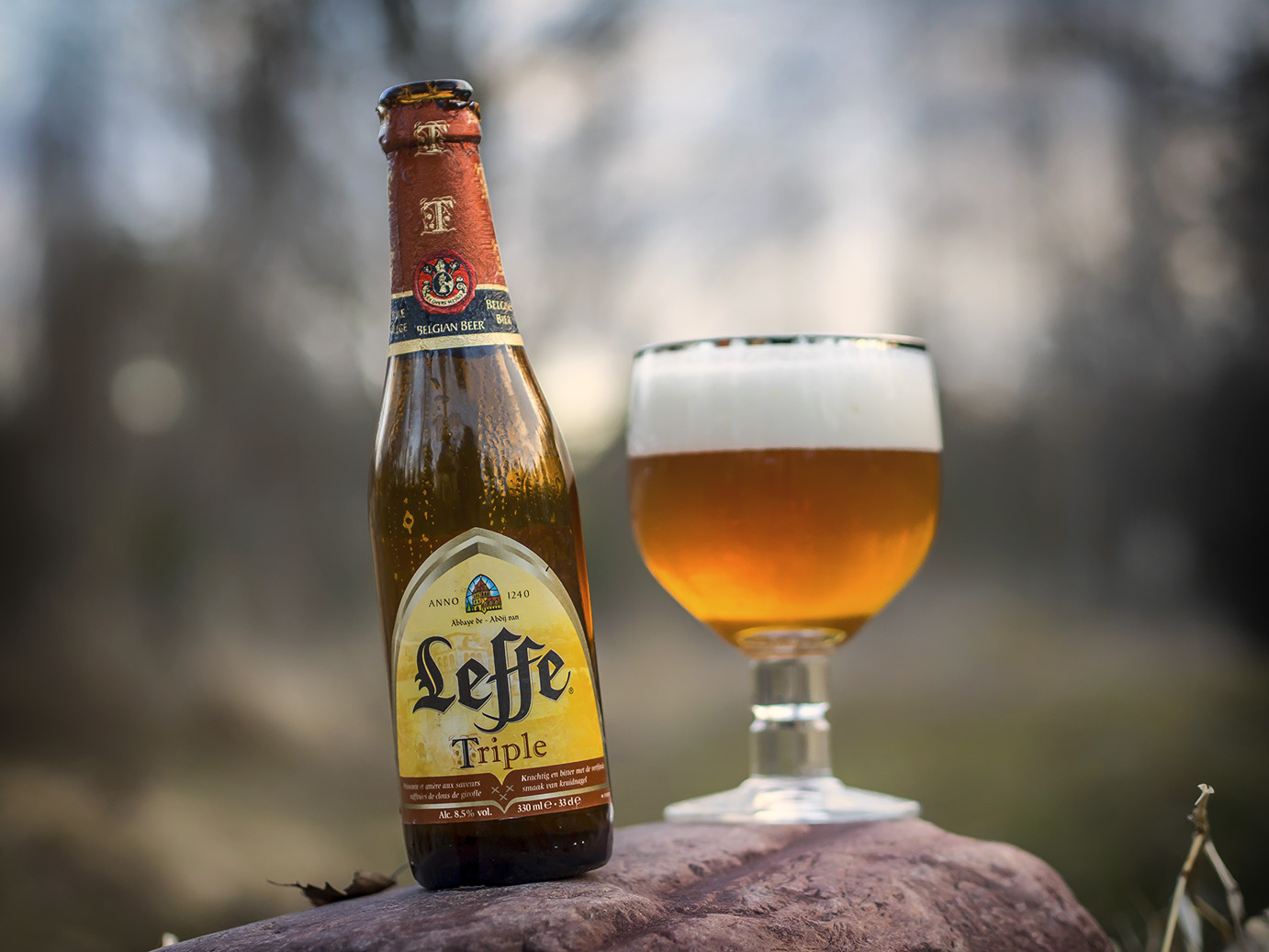 Reittausblogi: Triplasti tripleliä: Wilderen Kanunnik, Leffe Triple ...