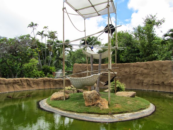 Zoos in Japan: Honolulu Zoo (Hawaii, United States of America)