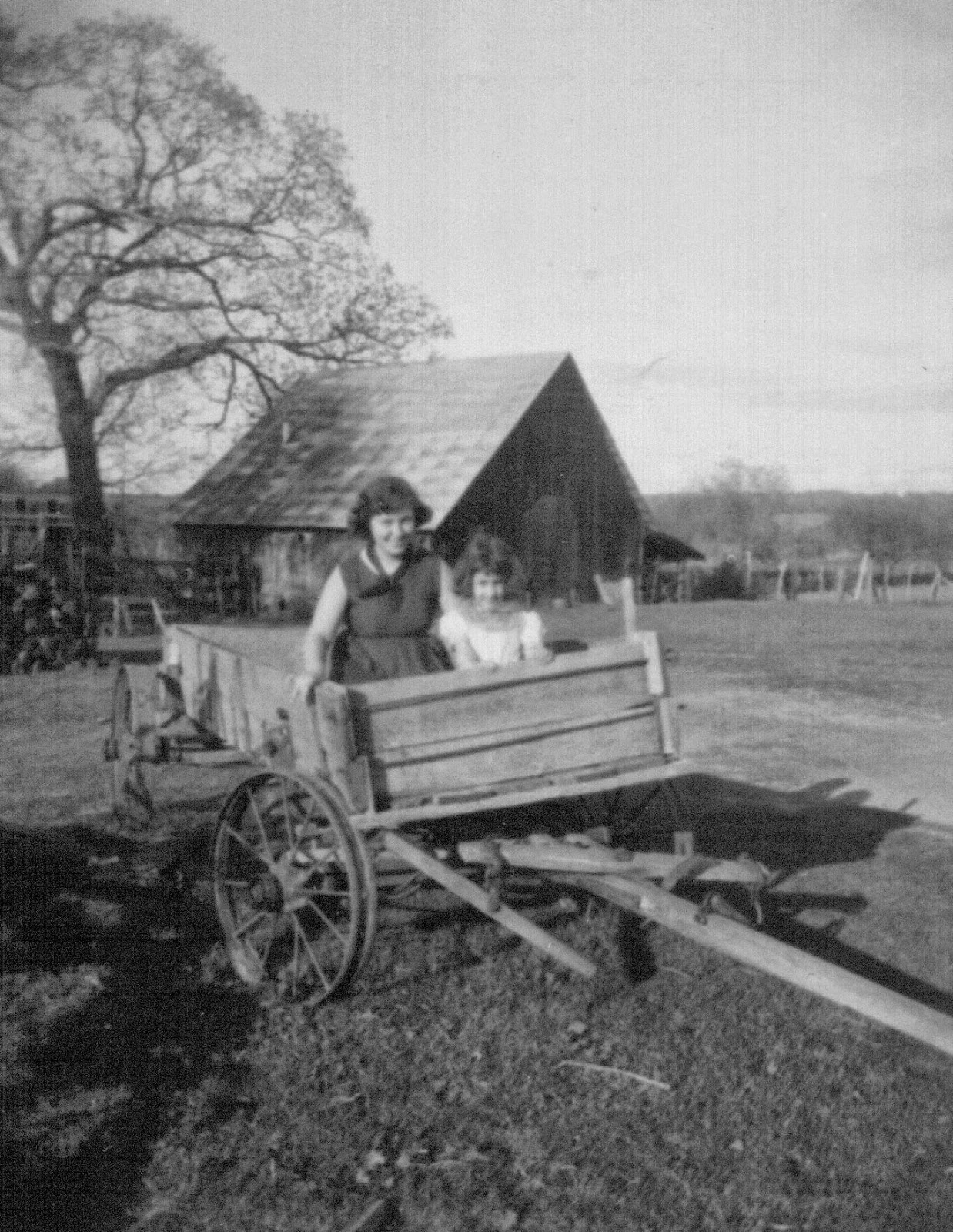 The Story of the Willems Family: The 1950s