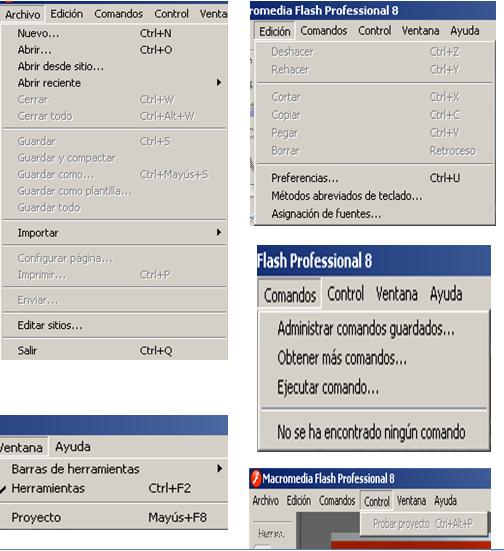flash-alex garzon-2d