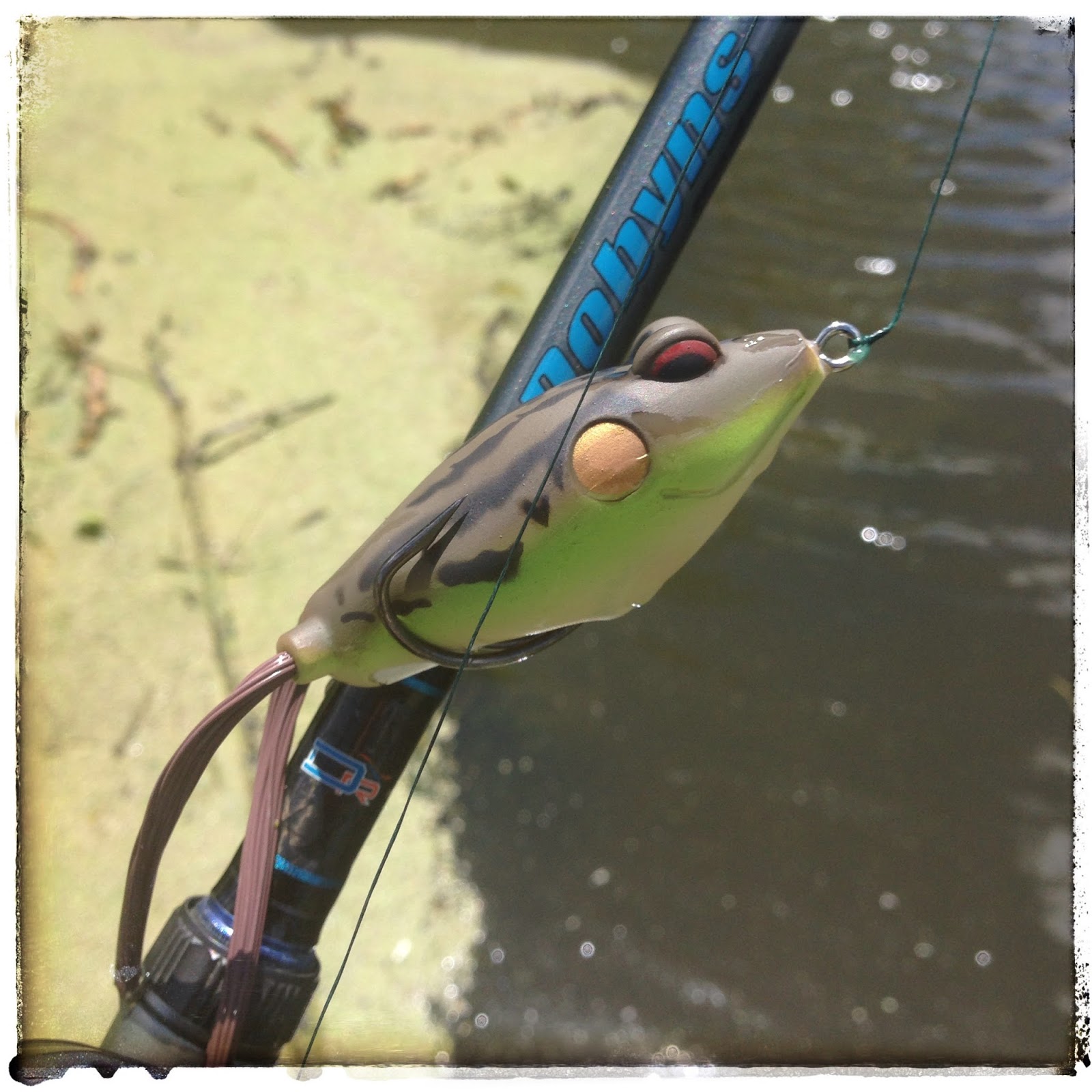 Bass Junkies Frog Pond: Terminator Walking Frog Review